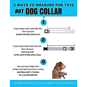Personalized Dog Collar with Custom Hi-Def Text and Art, an Embroidered Dog Collar Alternative - Available in 7 Sizes & 21 Colors