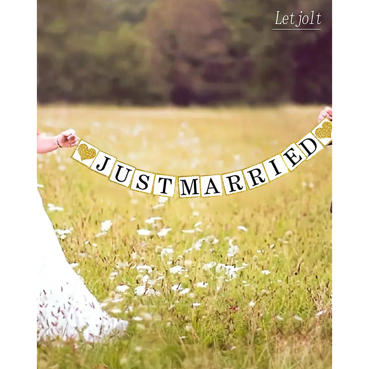 Just Married Proposal Banner Marriage Decorations Paper Garland Wedding Supplies Engagement Sign Outdoor Party Photp Prop Rustic Decorations 6Ft