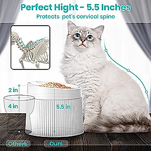 iPettie Elevated Cat Food Bowl Cat Dish, Tilted Pet Feeding Station with Stand for Small Dog, Made from Certified Food-Safe Plastics, Better Than Stainless Steel and Ceramic