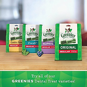 GREENIES Grain Free Regular Natural Dog Dental Care Chews Oral Health Dog Treats, 27 oz. Pack (27 Treats)