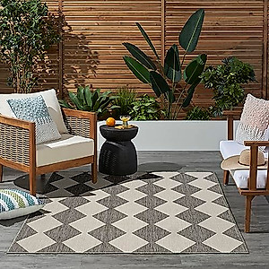 Nourison Positano Indoor/Outdoor Charcoal 4' x 6' Area Rug, Easy Cleaning, Non Shedding, Bed Room, Living Room, Dining Room, Backyard, Deck, Patio (4x6)