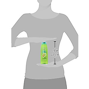 Garnier Fructis Fortifying SHampoo, Hydra Recharge for All Hair Types 13 oz