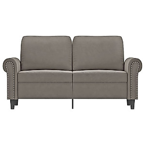 SKM 2-Seater Sofa Light Gray 47.2" Velvet (23.5 KG/51.7 LBS)