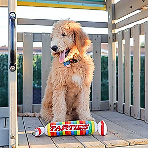 H&K for Dogs Power Plush | Farties (Large) | Funny Dog Toy | Dog Toy with Squeaker | Dog Gift | Fun, Durable, and Safe | Squeaky Dog Toy