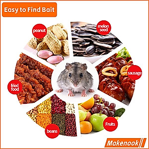 Makenook Humane Mouse Traps Indoor for Home, Large No Kill Live Rat Traps Outdoor, Reusable Chipmunk Trap, Catch and Release, Safe for Pets and Children, Easy to Set, 2 Pack