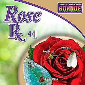 Bonide Captain Jack's Rose Rx 4-in-1 Insect & Disease Control, 32 oz Ready-to-Use Spray Neem Oil for Organic Gardening
