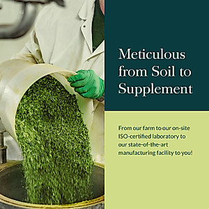 Gaia Herbs Milk Thistle - Liver Supplement & Cleanse Support for Maintaining Healthy Liver Function* - 60 Vegan Capsules (20-Day Supply)