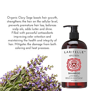 Laritelle Organic Anti-Thinning Shampoo | Fortifying, Strengthening & Rejuvenating | Prevents Hair Loss and Shedding, Promotes New Hair Growth | Ayurvedic Herbs, Lavender, Ginger, Rosemary