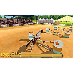 2 in 1: Mein Fohlen 2D with my Rider Yard 3D Rivalen on the Saddle [3DS]