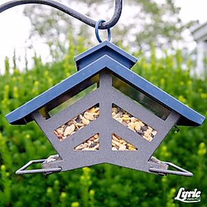 Lyric Fruit and Nut Wild Bird Seed - High Energy Wild Bird Food Mix - Attracts Woodpeckers, Chickadees & Other Songbirds - 5 lb bag