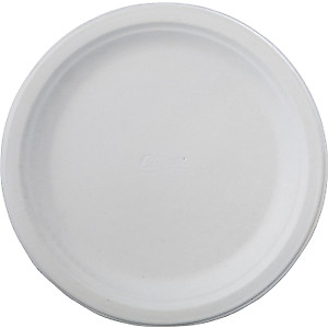Chinet 21232 Classic Paper Dinnerware Plate 9 3/4-Inch dia White 125/Pack 4 Packs/Carton