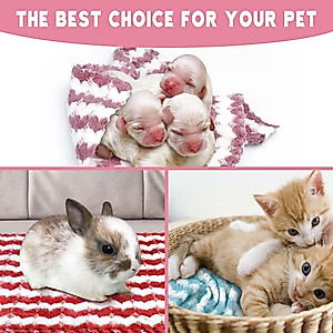 Nobgum 10 Pcs Guinea Pig Fleece Blanket,Rabbits Hamster Cage Liners, Washable Small Animal Pet Blanket Sleep Bedding Mats Bed Pad Cover Throw Bath Towels for Guinea Pig Hamster Ferrets 5 Color