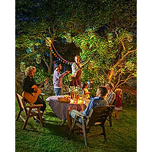 Pineapple Solar Lantern, 2 Pack Solar Lights Outdoor Waterproof 60LEDs, Hanging Solar Lights Outdoor Lantern Garden Decor for Outside Patio Yard Backyard Tree Porch Landscape Lighting, Warm Light