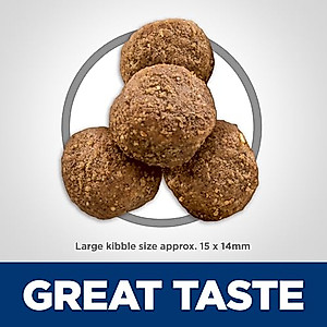 Hill's Science Diet Adult 6+ Chicken Meal, Barley & Brown Rice Recipe Large Breed Dry Dog Food, 15 lbs.