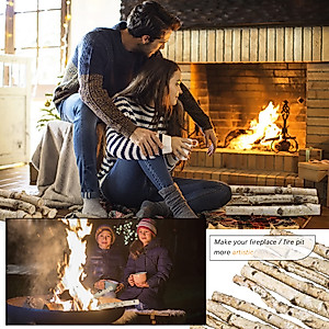 Uplama 6Pack Small Birch Logs for Fireplace Unfinished Wood Crafts DIY Home Decorative Burning,Fireplace Log Set (0.78''-1.18'' Dia. x 12" Long)