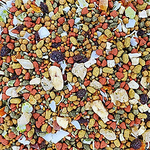 Higgins 2 Pack of Intune Harmony Food for Conures, Cockatiels, Lovebirds and Parrotlets, 2 Pounds Each