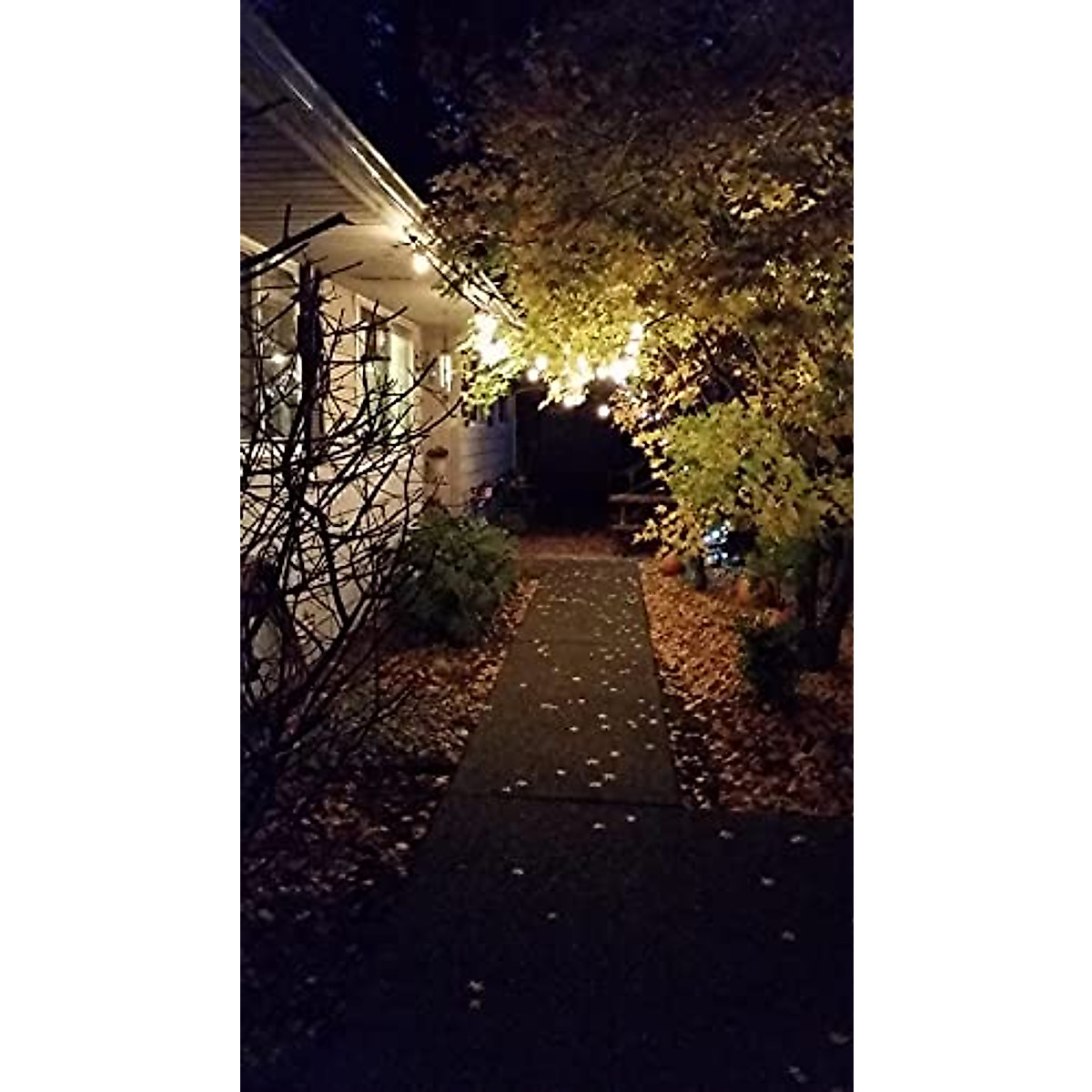 Rolay 11W Outdoor String Light Bulbs, S14 Incandescent Replacement Bulbs for Outdoor Patio String Lights with E26 Base, Pack of 25