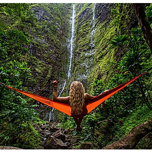 100% Kona Coffee – Whole Bean, Medium roast, Single estate gourmet coffee, 16 ounces, Farm fresh roasted from Domain Kona Coffee