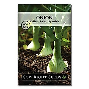 Sow Right Seeds - Yellow Spanish Onion Seed for Planting - Non-GMO Heirloom Packet with Instructions to Plant a Home Vegetable Garden