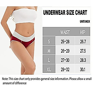 Apluschoice Cotton Underwear for Women Breathable Briefs Stretch Panties Pack of 5(Small) Multi-color