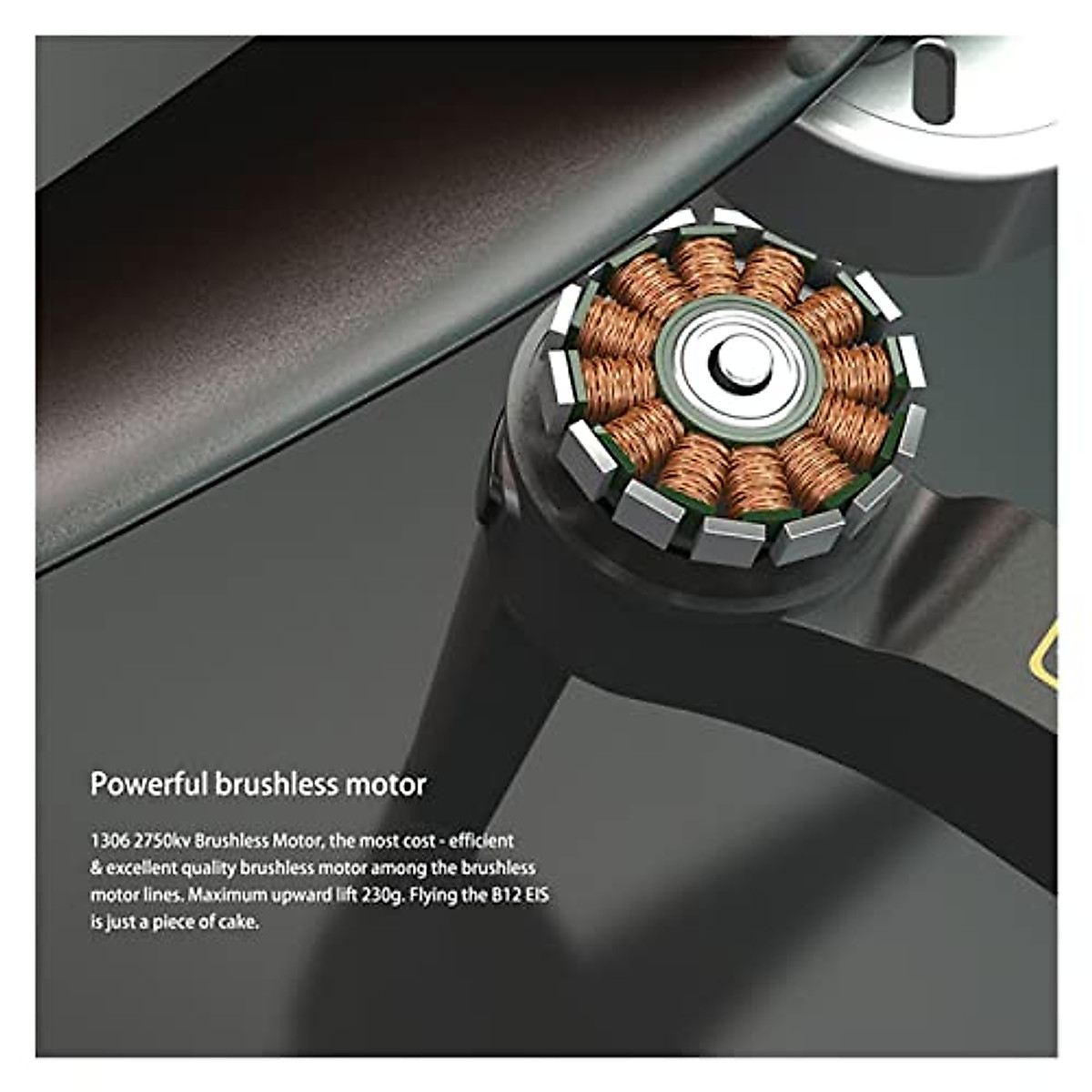 NIRAA B12 Bugs 12 EIS GPS Drone 4K 5G WiFi Digital Zoom Camera 22Mins Flight Time Brushless Foldable RC Quadcopter Drone (Color : B12 Drone 1B Box)