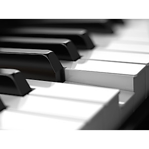 Roland Juno DS-88 Synthesizer Bundle with Sustain Pedal, Adjustable Stand, Bench, Dust Cover, Austin Bazaar Instructional DVD, Online Piano Classes, and Polishing Cloth