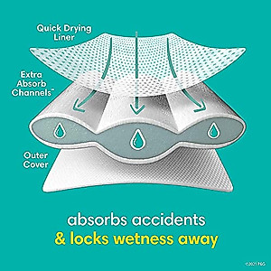 Pampers Easy Ups Pull On Training Underwear Boys, 5T-6T, 2 Month Supply (2 x 84 Count) with Sensitive Water Based Baby Wipes 12X Multi Pack Pop-Top and Refill (1008 Count)