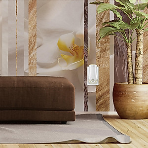 Glade PlugIns Refills Air Freshener, Scented and Essential Oils for Home and Bathroom, Sheer Vanilla Embrace, 1.34 Oz, 2 Count