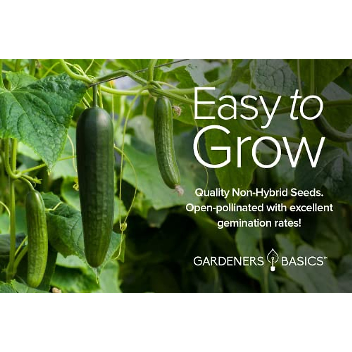 Cucumber Seeds for Planting Outdoors 8 Variety Pack Burpless Tendergreen, Beit Alpha, Marketmore 76, Armenian, Boston Pickling, Lemon, Spacemaster, Straight Eight Veggie Seeds by Gardeners Basics