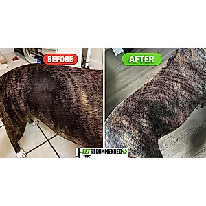 Vet Recommended Dog Dry Skin Cream & Moisturizer - Helps Dog Hair Loss Regrowth - Dry Nose & Cracked Paws - Works with Hot Spots for Dogs - 240ml (8 Oz)