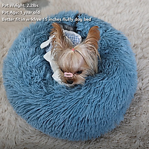 wrkfree Marshmallow Cat Bed for Small New Born Kitten, Indoor Cats Plush Puppy Bed 15 Inches