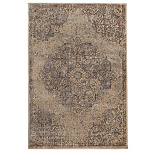 SUPERIOR Indoor Area Rug or Runner, Traditional Distressed Medallion Floor Decor, Home Accessories for Living Room, Bedroom, Office, Kitchen, Dining, Soft Plush Rugs, Maeve Collection, 8' x 10'
