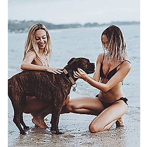 Airtag Dog Collar Holder(2 Pack) for Apple Airtag Dog Tracker Holder Anti-Lost Silicone Air Tag Holder Case Compatible with Cat Dog Collars (2xBlack)