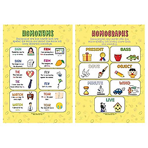 Creanoso English Vocabulary and Grammar Educational Learning Posters (24-Pack) - Premium Quality Gift Ideas for Children, Teens, & Adults for All Occasions - Stocking Stuffers Party Favor & Giveaways