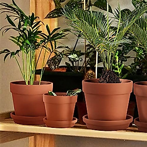 INGOFIN Terracotta Pots Set with Saucer - 5/6/7 inch Ceramic Clay Planters with Drainage Hole, Garden Flower Succulent Pots with Tray for Indoor Outdoor Plants, Set of 3