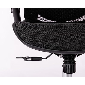 Office Chair, High Back Ergonomic Desk Chair, Breathable Mesh Desk Chair with Adjustable Lumbar Support and Headrest, Swivel Task Chair with Armrests, Executive Chair for Home Office (Black)