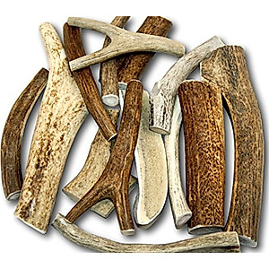 Top Dog Chews – Large Variety Pack, Premium, Grade A, Antlers for Large, Medium or Small Dogs, Antlers from Deer, Elk, & Moose Included, Natural, Long Lasting, Chews for Aggressive Chewers, 1lb