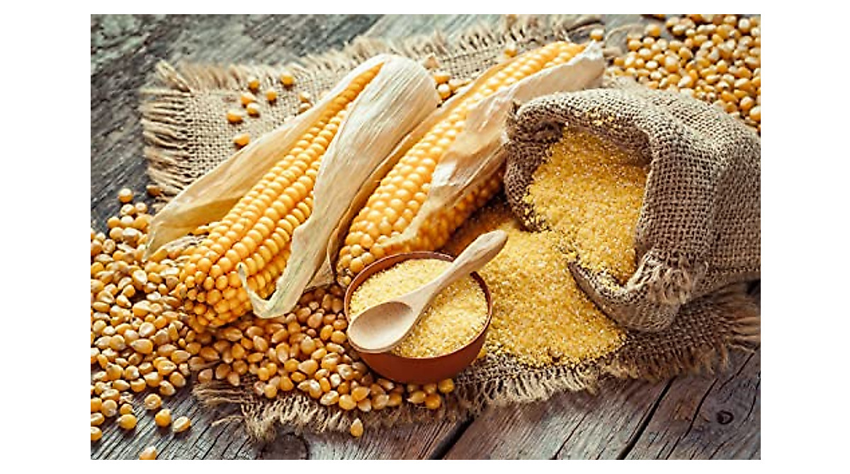 Heirloom Corn Seeds: 4 Varieties, Non-GMO, 90% Germination