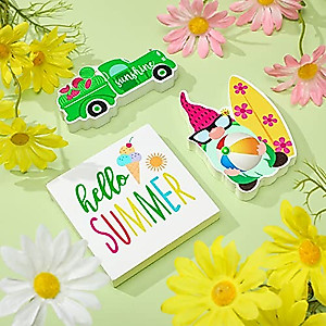3 Pcs Hello Summer Tiered Tray Decor Summer Mini Wood Sign Farmhouse Wooden Watermelon Decor Rustic Gnome 3D Tiered Tray Sign Summer Kitchen Table Centerpieces Decorative Summer Tiered Tray Decoration