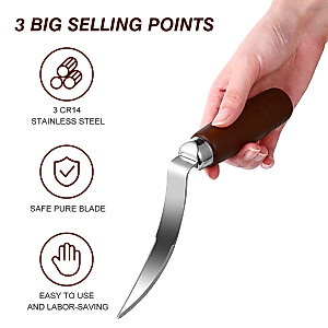 UPKOCH 1PC Coconut Tool Coconut Meat Remover Durable Wooden Handle Stainless Steel Coconut Opener Scraper Knife for Kitchen Home