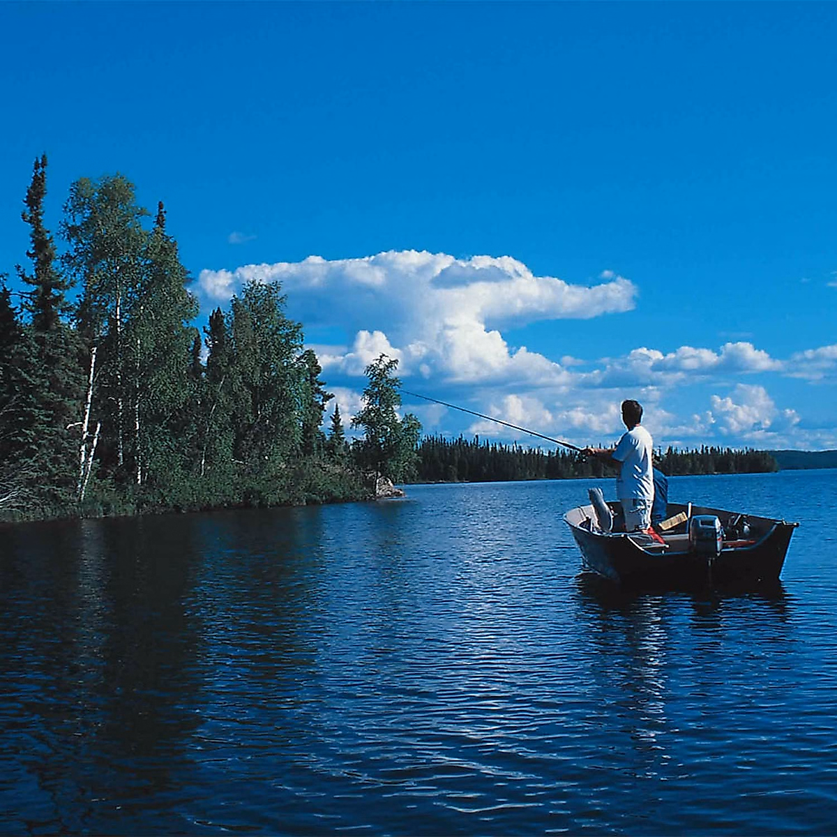 One Bass Fishing Pole 24 Ton Carbon Fiber Casting and Spinning Rods - Two Pieces, SuperPolymer Handle Fishing Rod for Bass Fishing -Green-Spin-7'0"