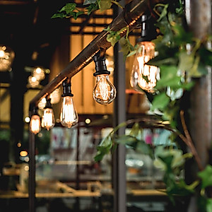 Vintage LED Edison Bulb, ST19 4W Dimmable LED Filament Bulb, 400 Lumens, Warm White 2700K, LED Light Bulb, Clear Glass, E26 Base, 4 Pack