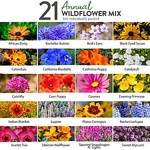 HOME GROWN 112,000+ Wildflower Seeds: Bulk Mix of 21 Varieties, Non-GMO Wild Flower Seed | Bee and Butterfly Garden Variety Pack | Annual Flowers Seeds for Planting |Native Wildflowers for Your Garden