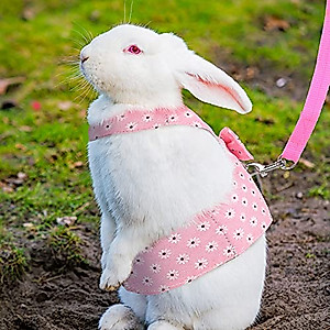 2 Set Rabbit Harness with Leash Adjustable Bunny Guinea Pig Bowknot Harness Set for Small Large Pets Costume Walking (M)