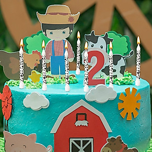 12pcs Cow Candles, Cow Print Cake Topper Birthday Party Candles Cake Decorations Baby Shower Birthday Farm Animal Theme for Girls Boys Party Favor Supplies