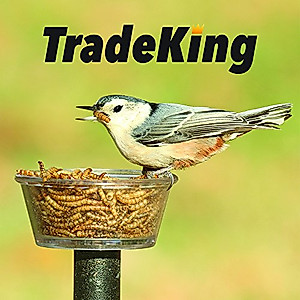 TradeKing 1 lb Dried Mealworms - High Protein Treat for Wild Birds, Chicken, Fish & Reptiles