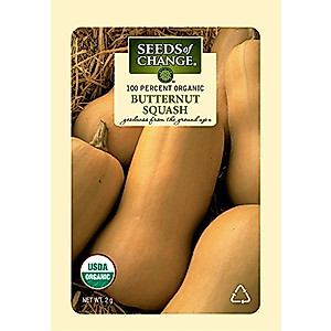 Seeds of Change 1069 Butternut Squash, Yellow