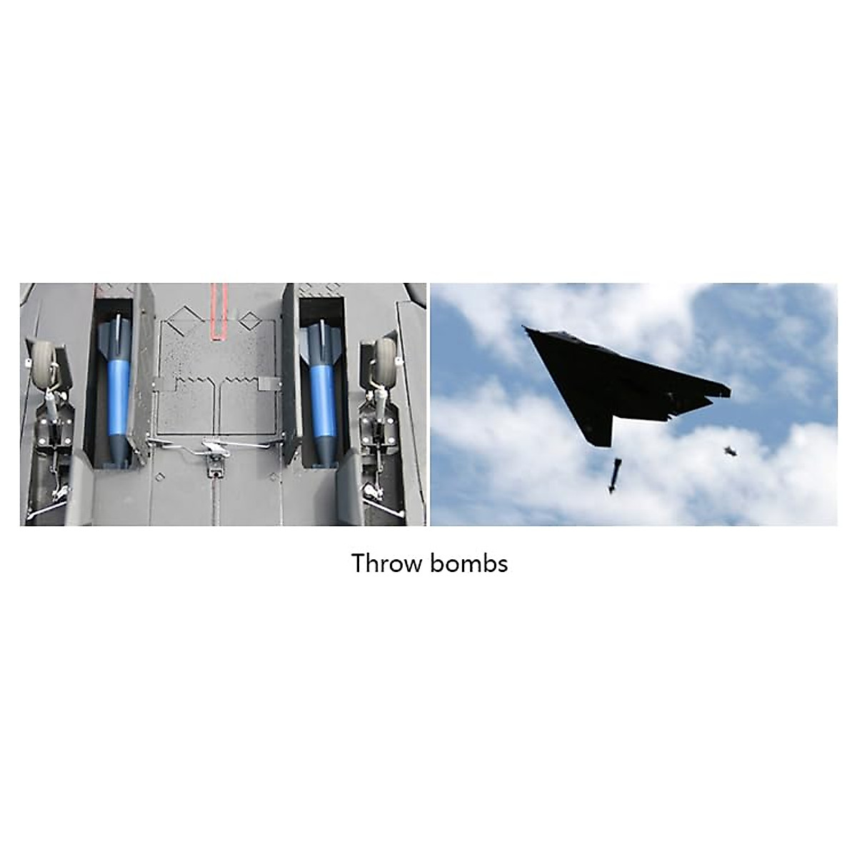 Sky Flight Hobby/Lanxiang/LX 70mm EDF Jets F117 Nighthawk PNP/ARF RC Flighter Plane