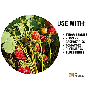 42 Pack QUART Green Molded Pulp Fiber Berry/Produce Vented Baskets for Fruit and Vegetable