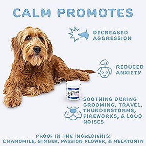 waggedy Calming Chews for Dogs, Tasty Treats Provide Stress & Anxiety Relief for Dogs During Separation, Travel & Times of Fear – Cat Calming Treats | Dog Treats (Calm)